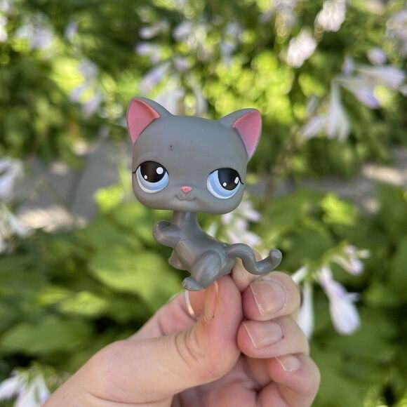 Hasbro | Toys | Littlest Pet Shop Lps 74 Gray Grey Short Hair Cat Blue ...